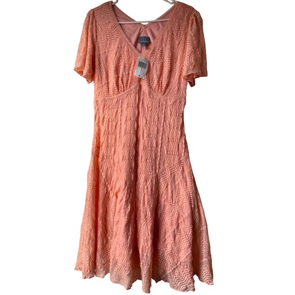 Rabbit Rabbit Rabbit | Dresses | Rabbit Designs Lace Midi Dress Peach ...
